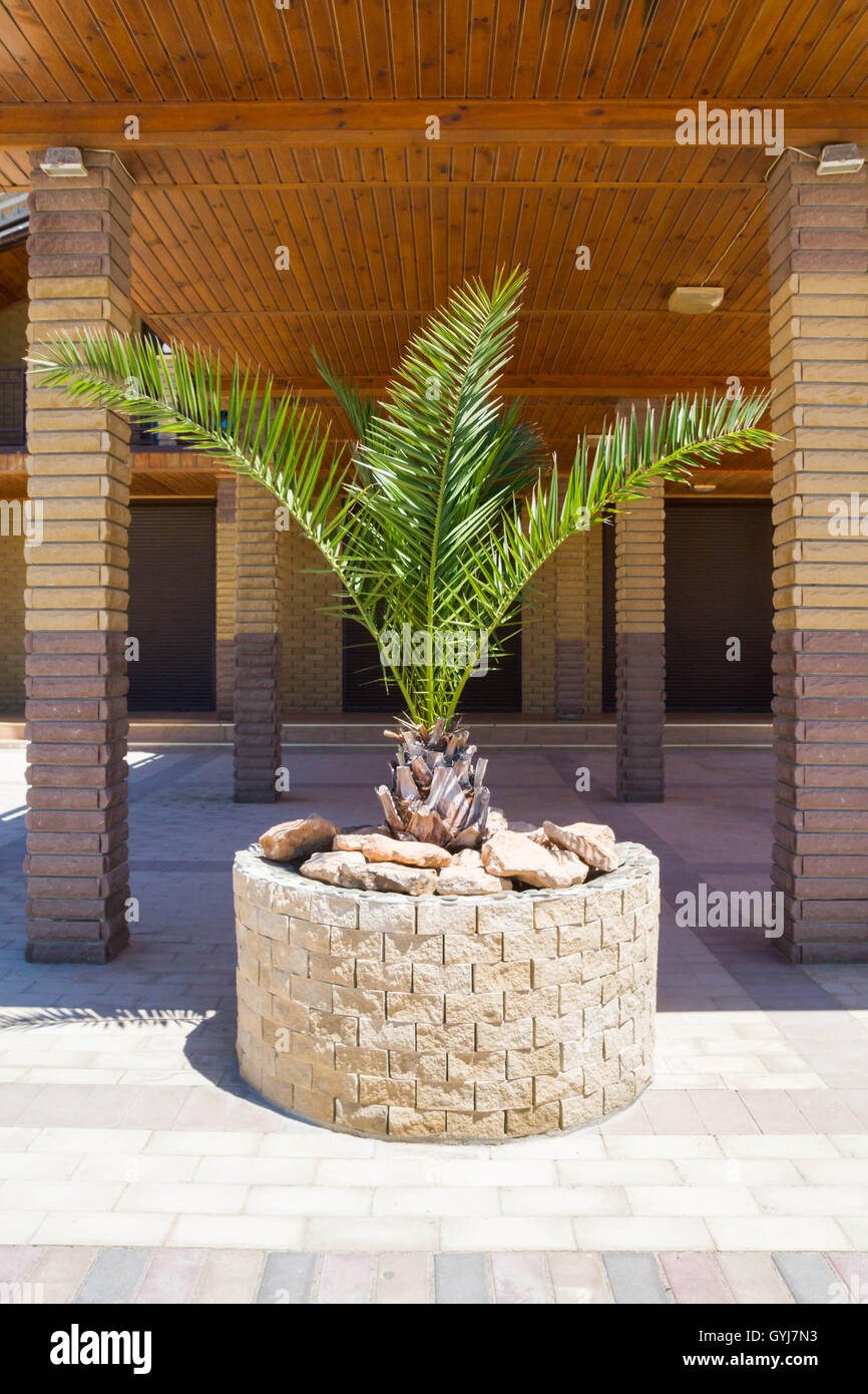 Palm tree construction hi-res stock photography and images - Alamy
