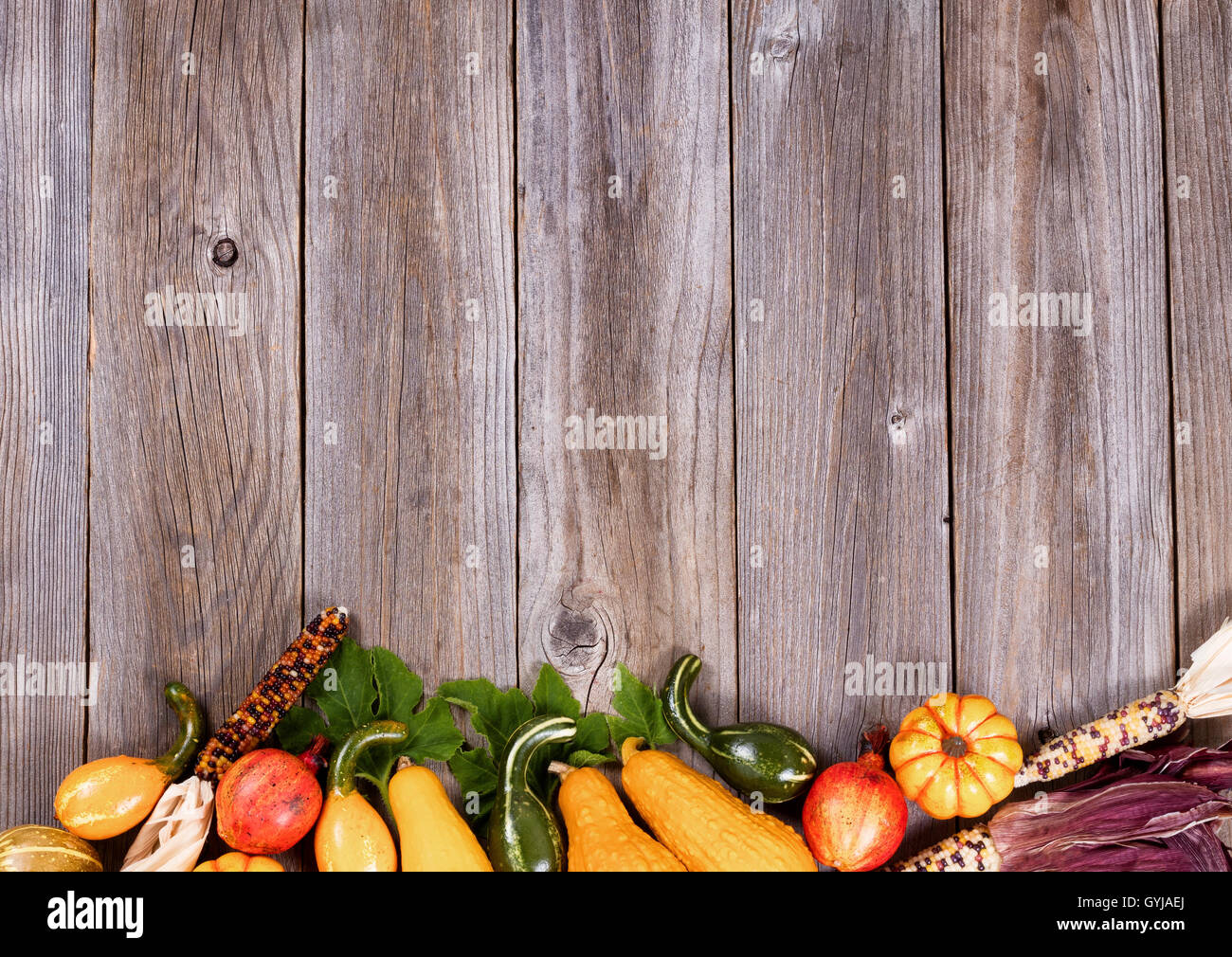 Overhead view of seasonal autumn vegetables, bottom border, on stressed ...