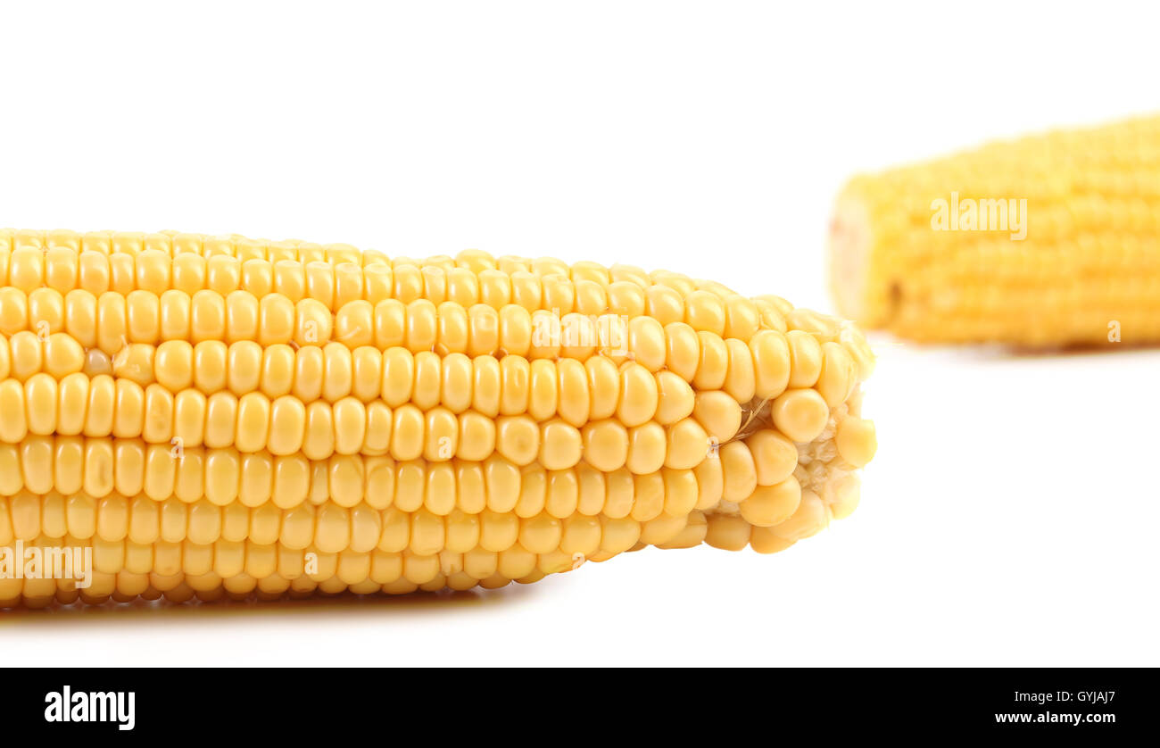 Close up of fresh corn ear Stock Photo - Alamy