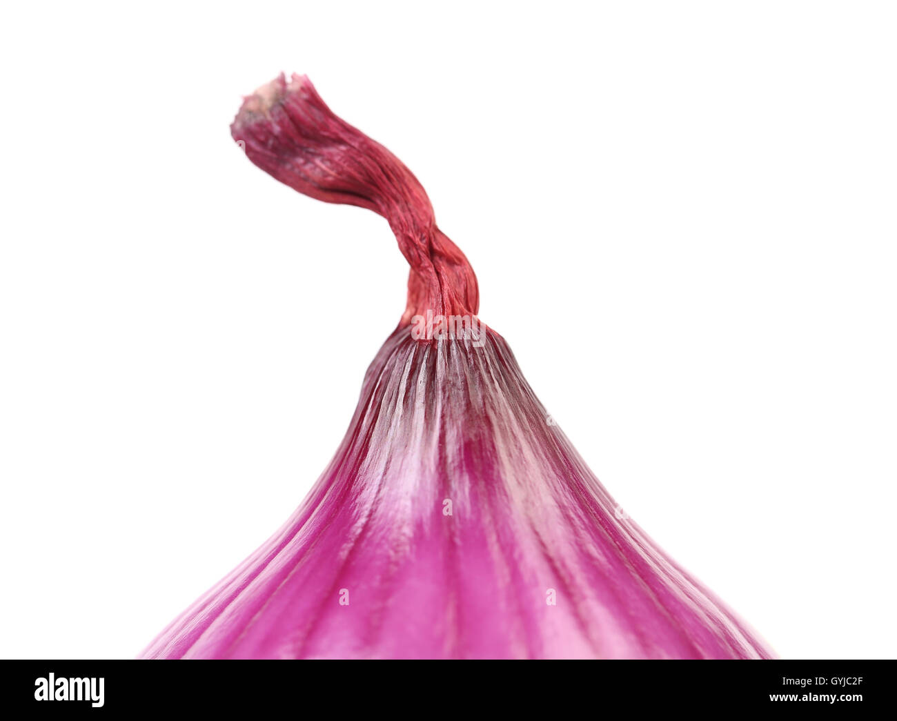 Close up of red onion top Stock Photo - Alamy