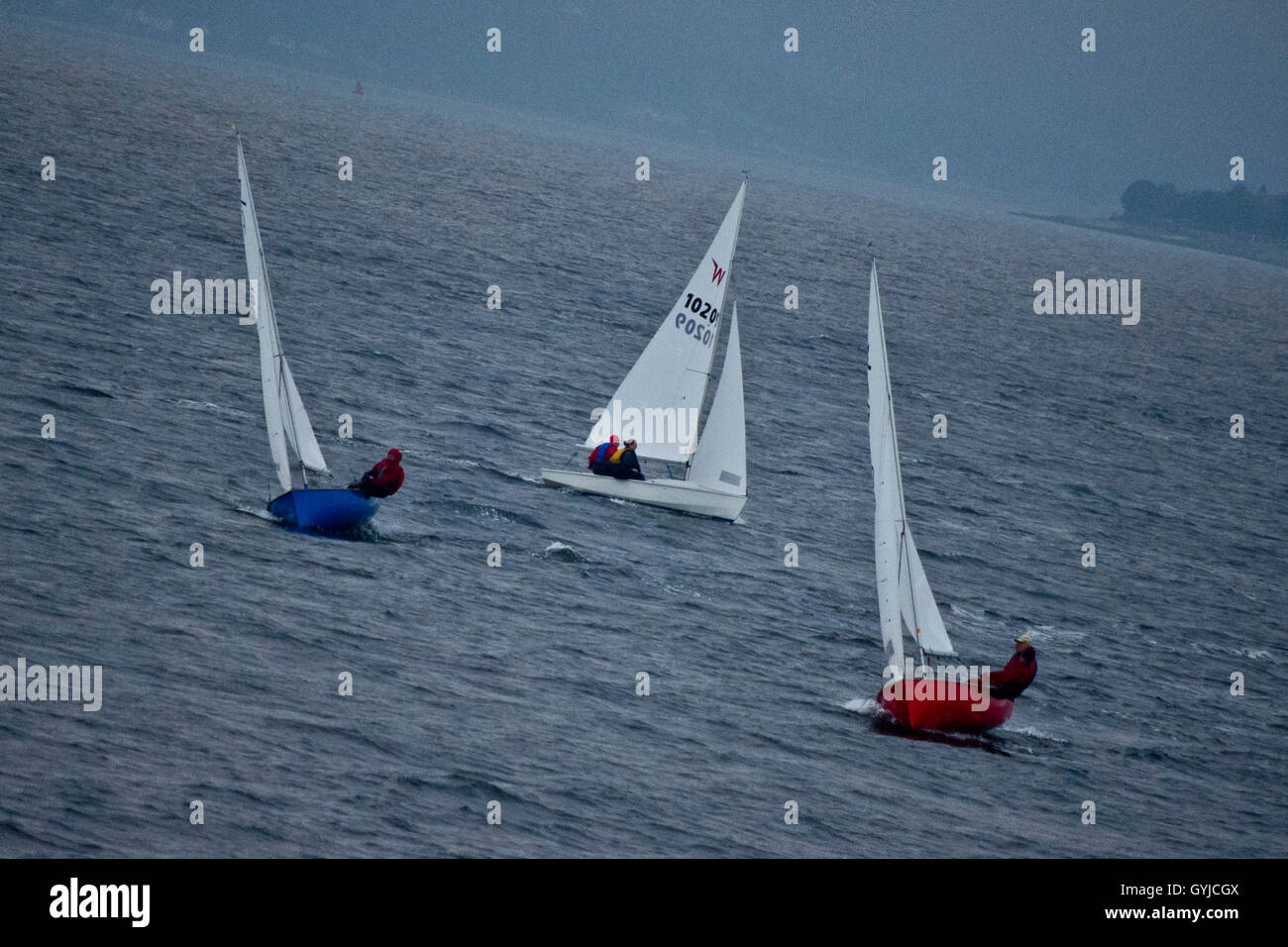 Racing on the Clyde Stock Photo - Alamy