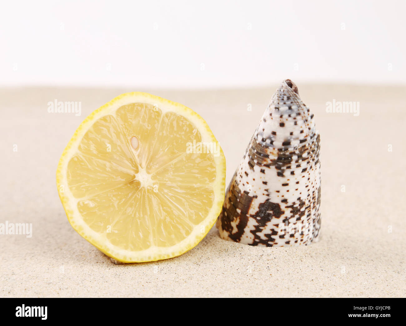 Lime and shell on sand Stock Photo - Alamy