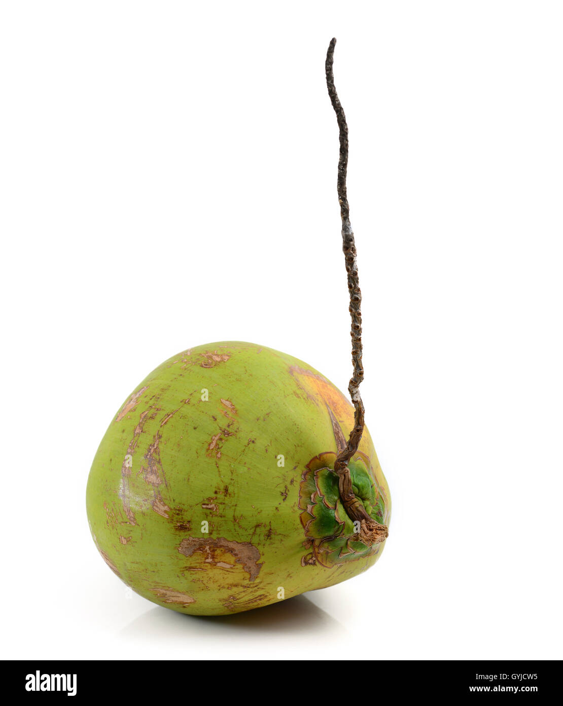 Coco fruit hi-res stock photography and images - Alamy