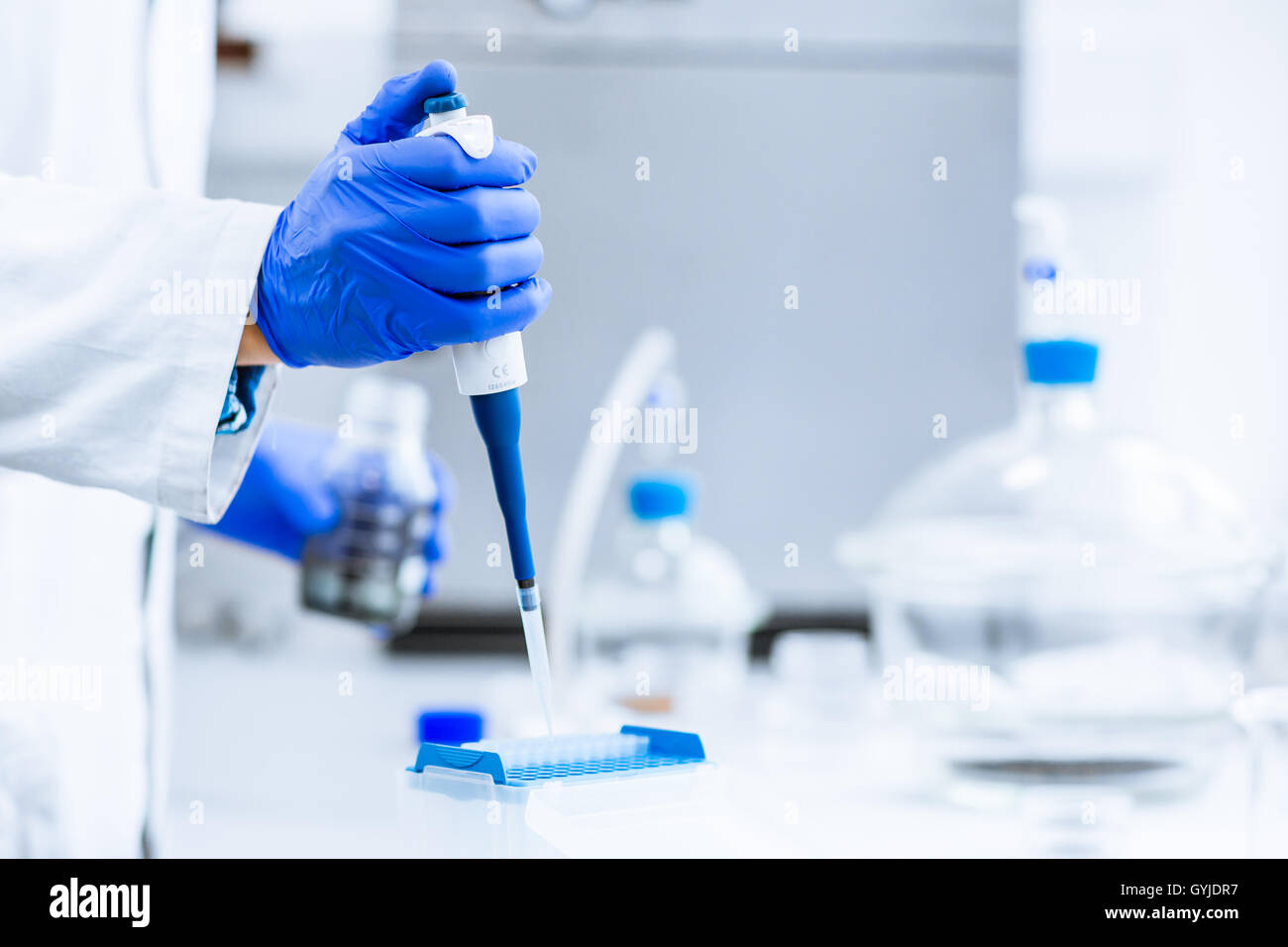 Hands of a researcher carrying out scientific research experimen Stock ...