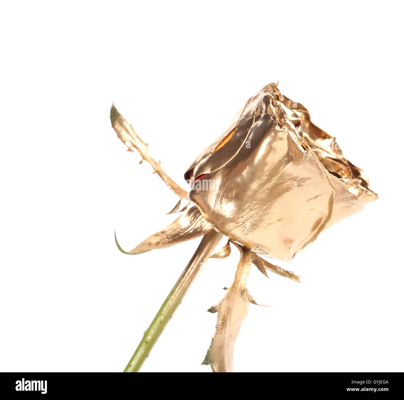 Beautiful golden rose Stock Photo - Alamy