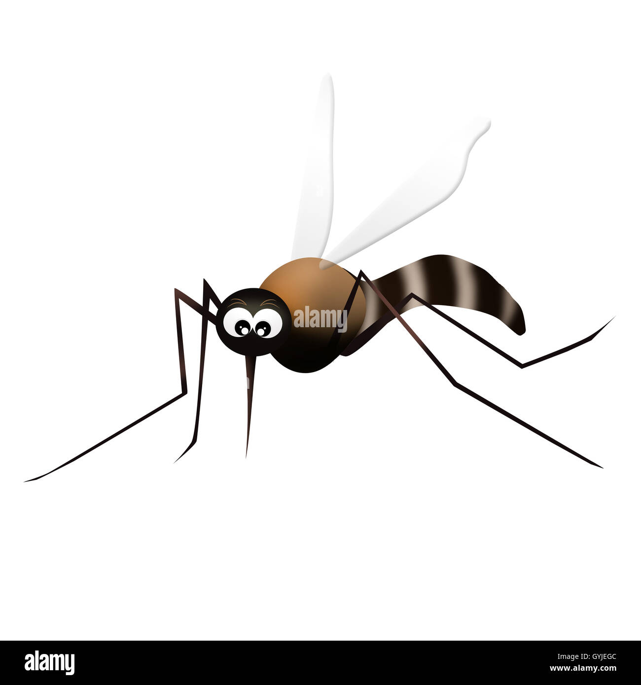 Cute mosquito hi-res stock photography and images - Alamy