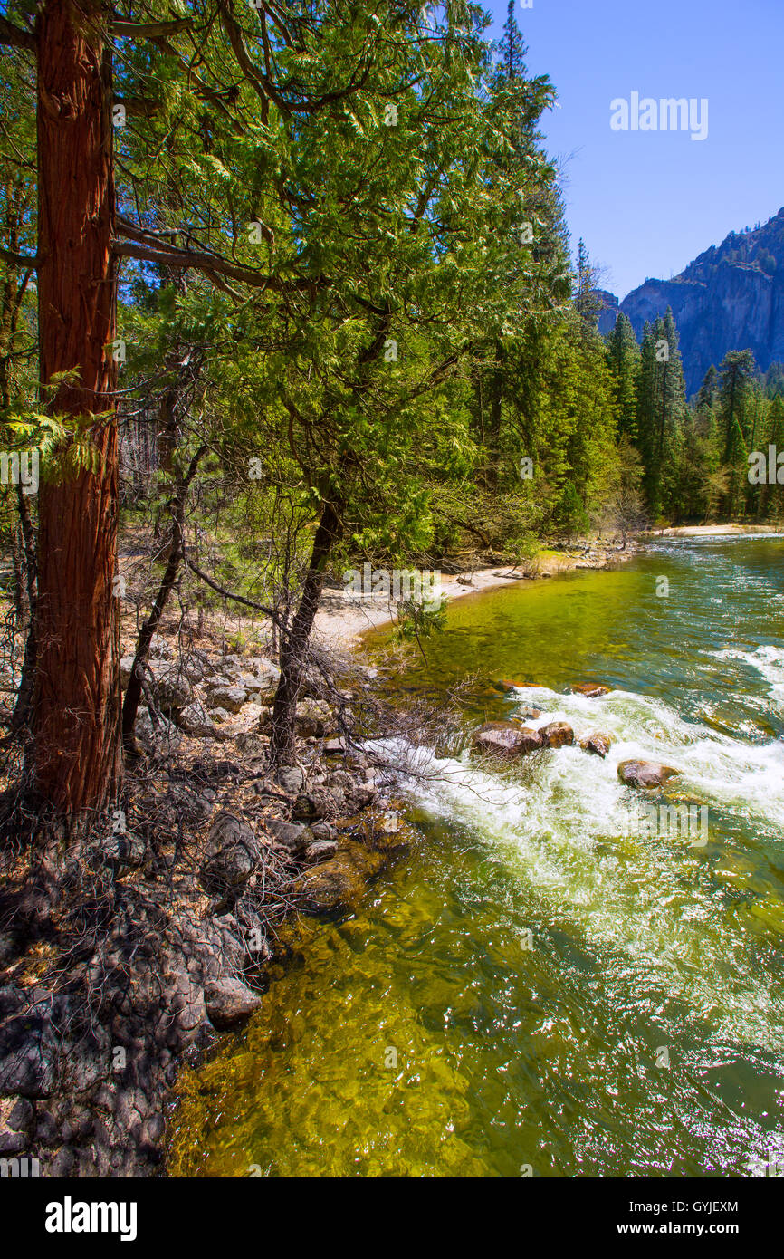 Yosemite National Park Merced River in California Stock Photo - Alamy