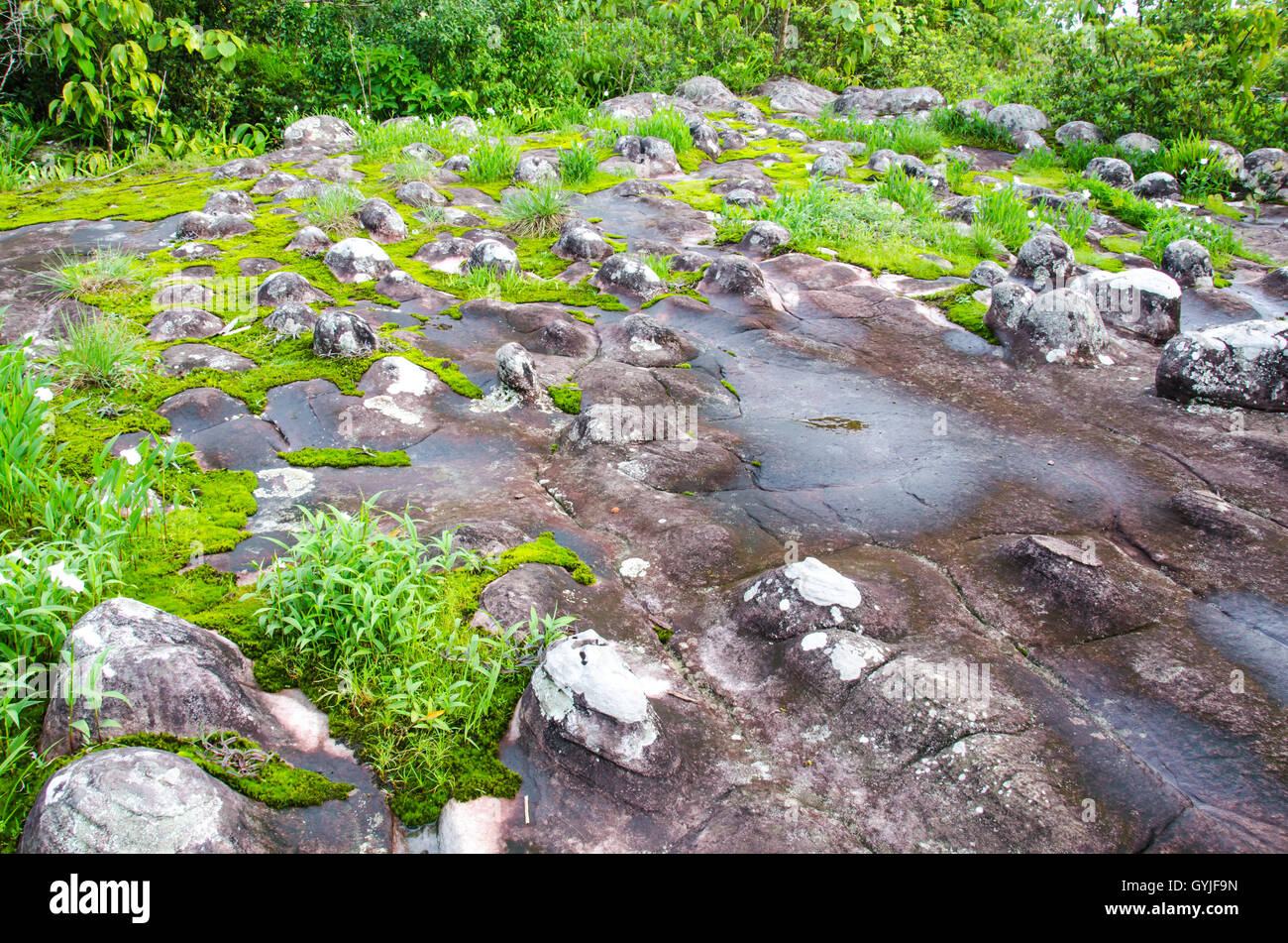 Rock the natural Stock Photo - Alamy