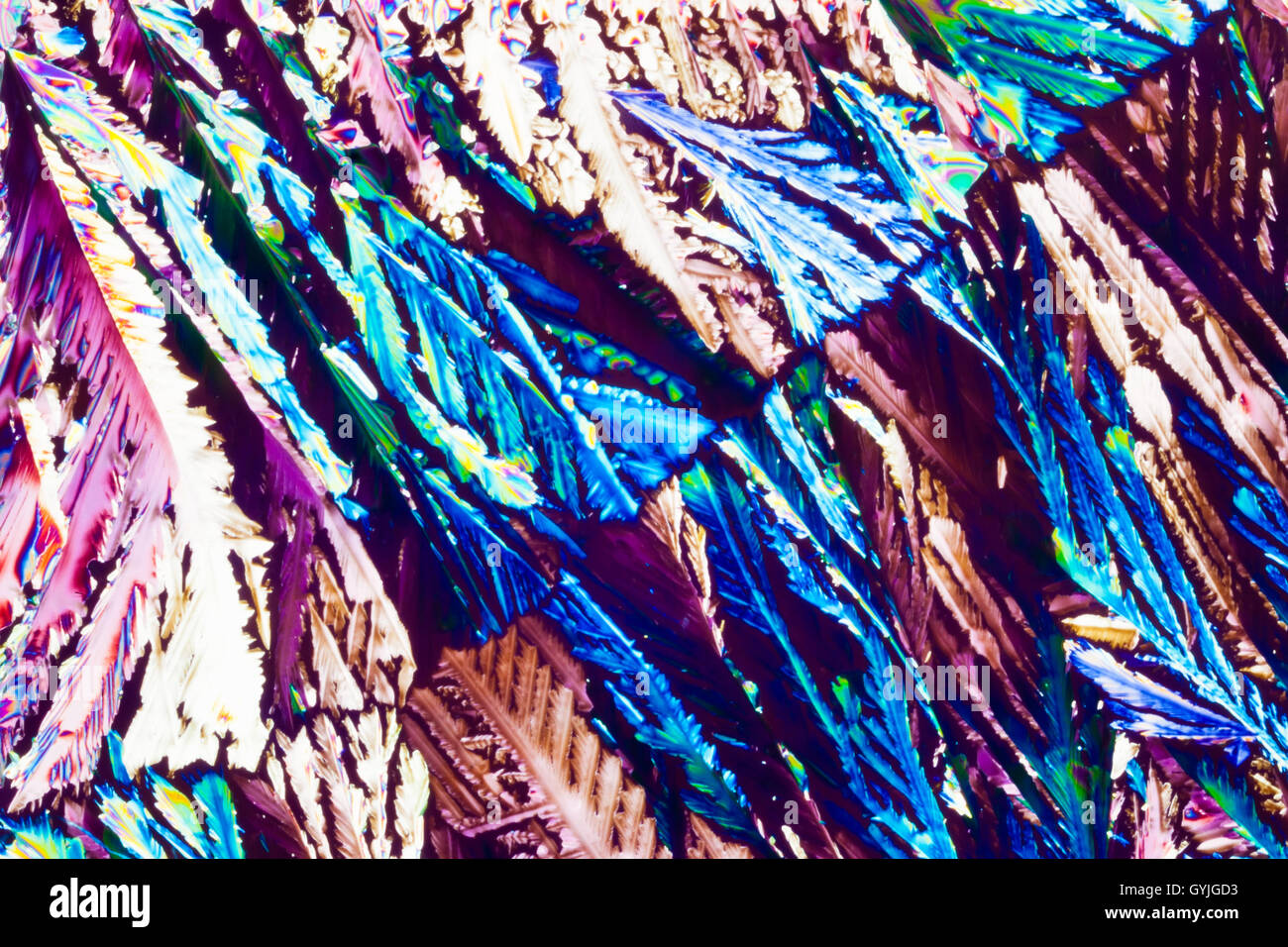 Hydroquinone crystals in polarized light Stock Photo - Alamy