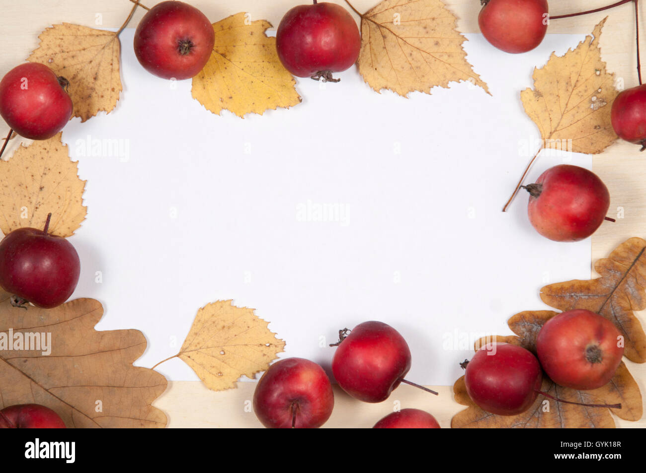 Autumn leaves and apples frame border background with the place for ...