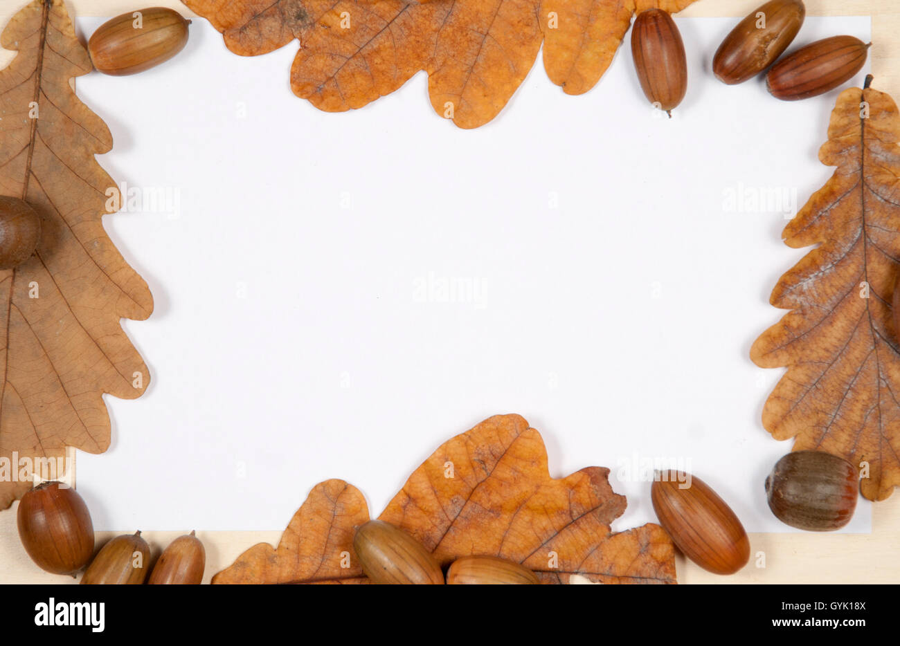 Autumn leaves and acorns frame border background with the place for ...