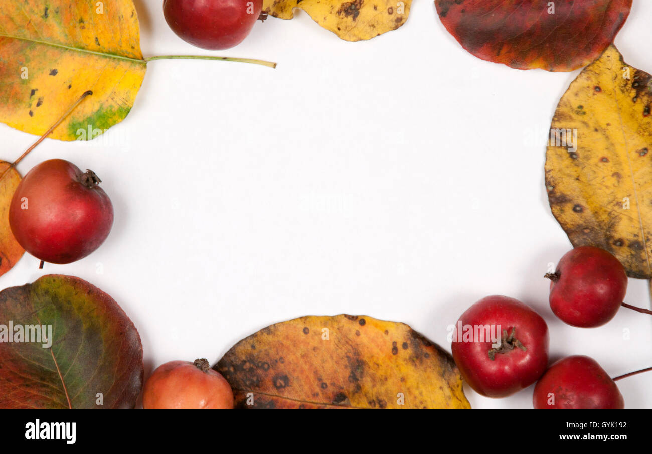 Autumn leaves and apples frame border background with the place for ...