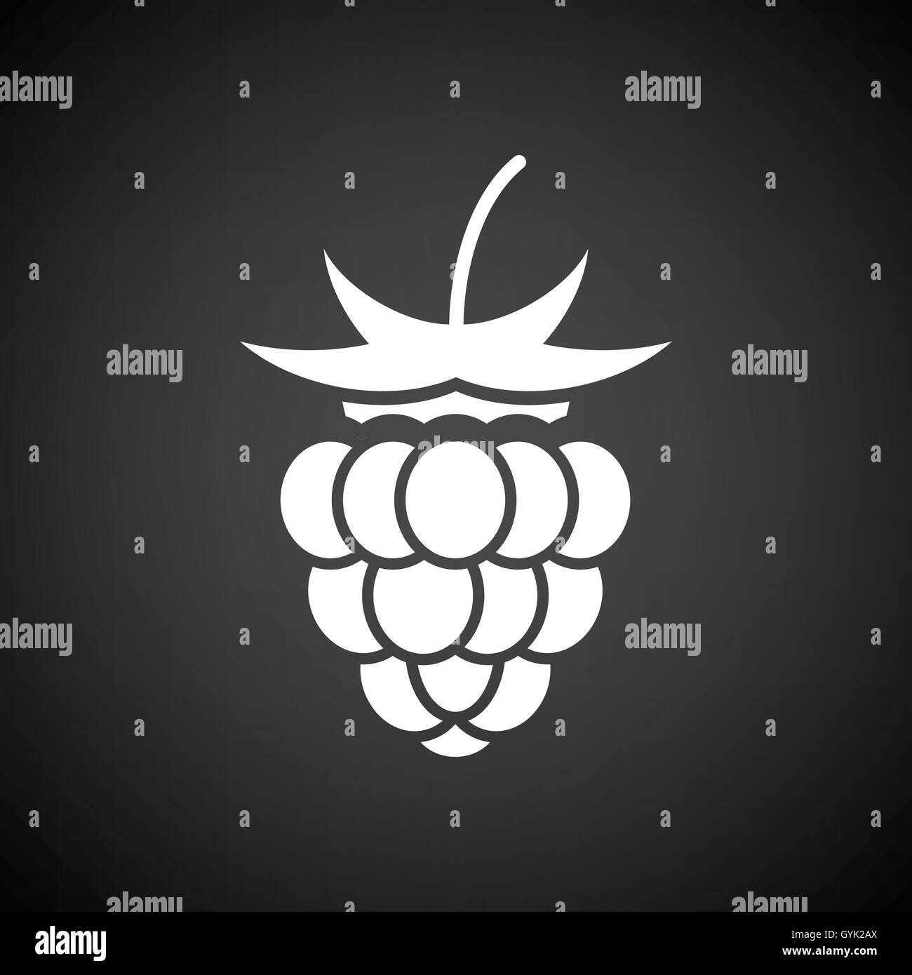 Raspberry icon. Black background with white. Vector illustration Stock ...