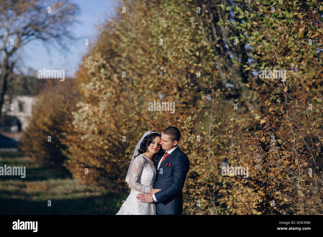 wonderful wedding day Stock Photo - Alamy