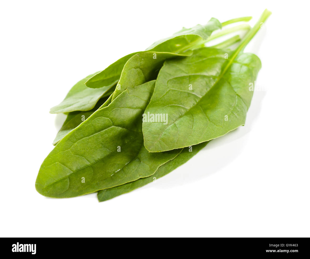 Young spinach Cut Out Stock Images & Pictures - Alamy