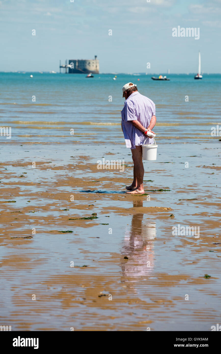 Cockle pickers on the beach, Fort Boyard at La Boyardville on ile d ...