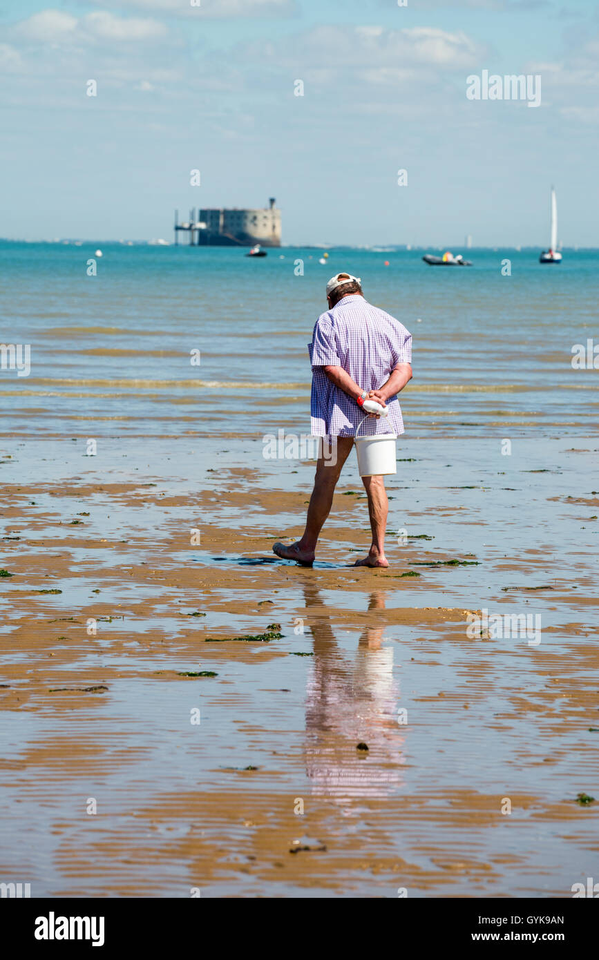 Cockle pickers on the beach, Fort Boyard at La Boyardville on ile d ...