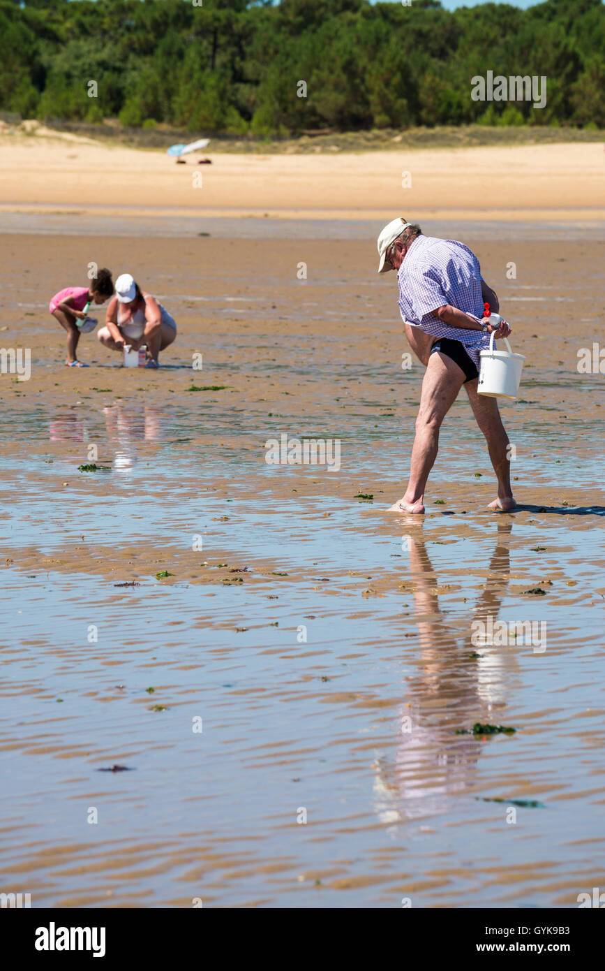Cockle pickers on the beach, Fort Boyard at La Boyardville on ile d ...