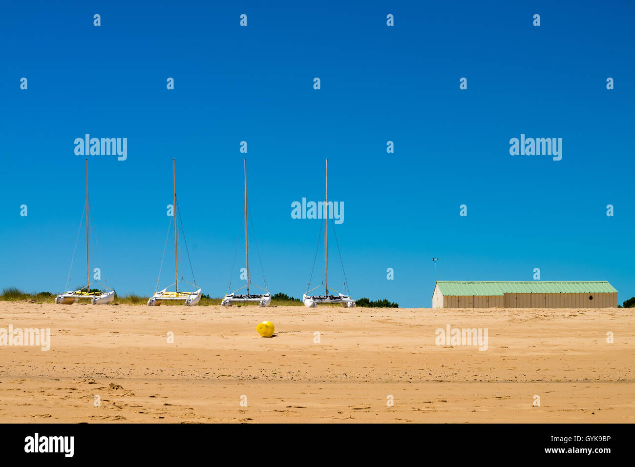 France, Charente Maritime, the beaches of Boyardville near Fort Boyard ...