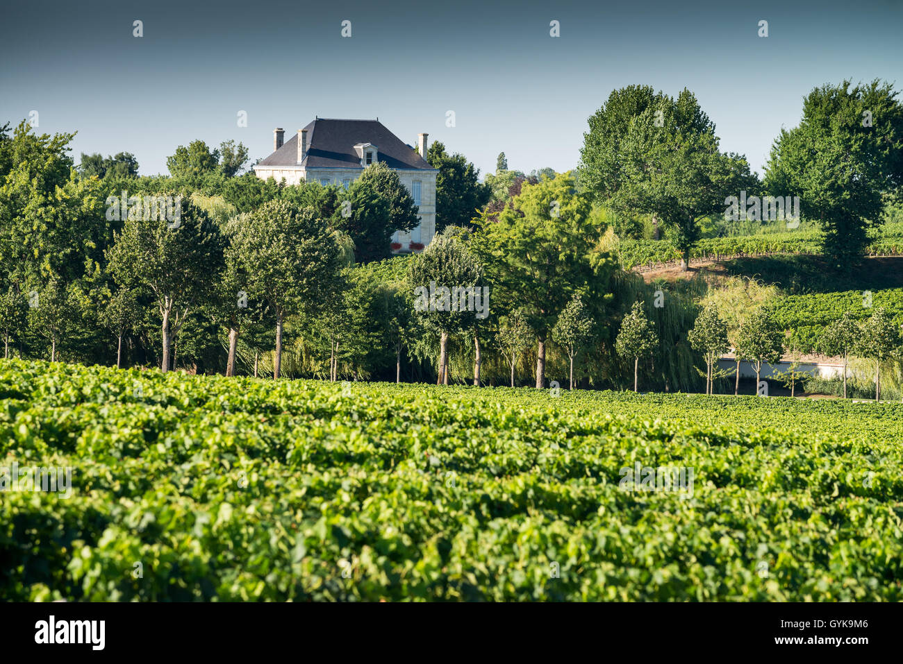 Bourdeaux france vineyard hi-res stock photography and images - Alamy