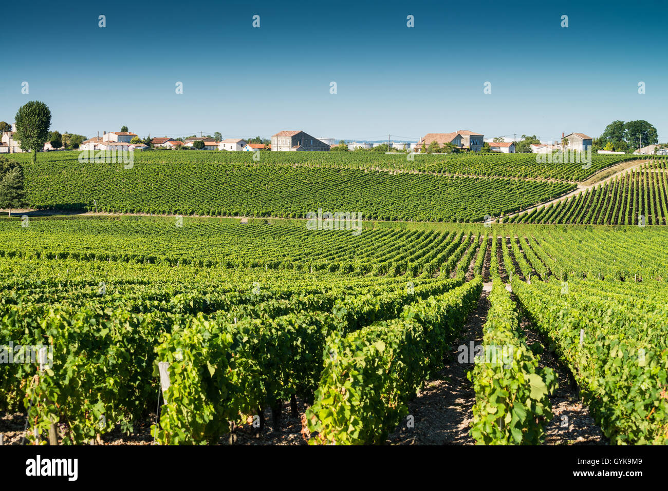Bourdeaux france vineyard hi-res stock photography and images - Alamy