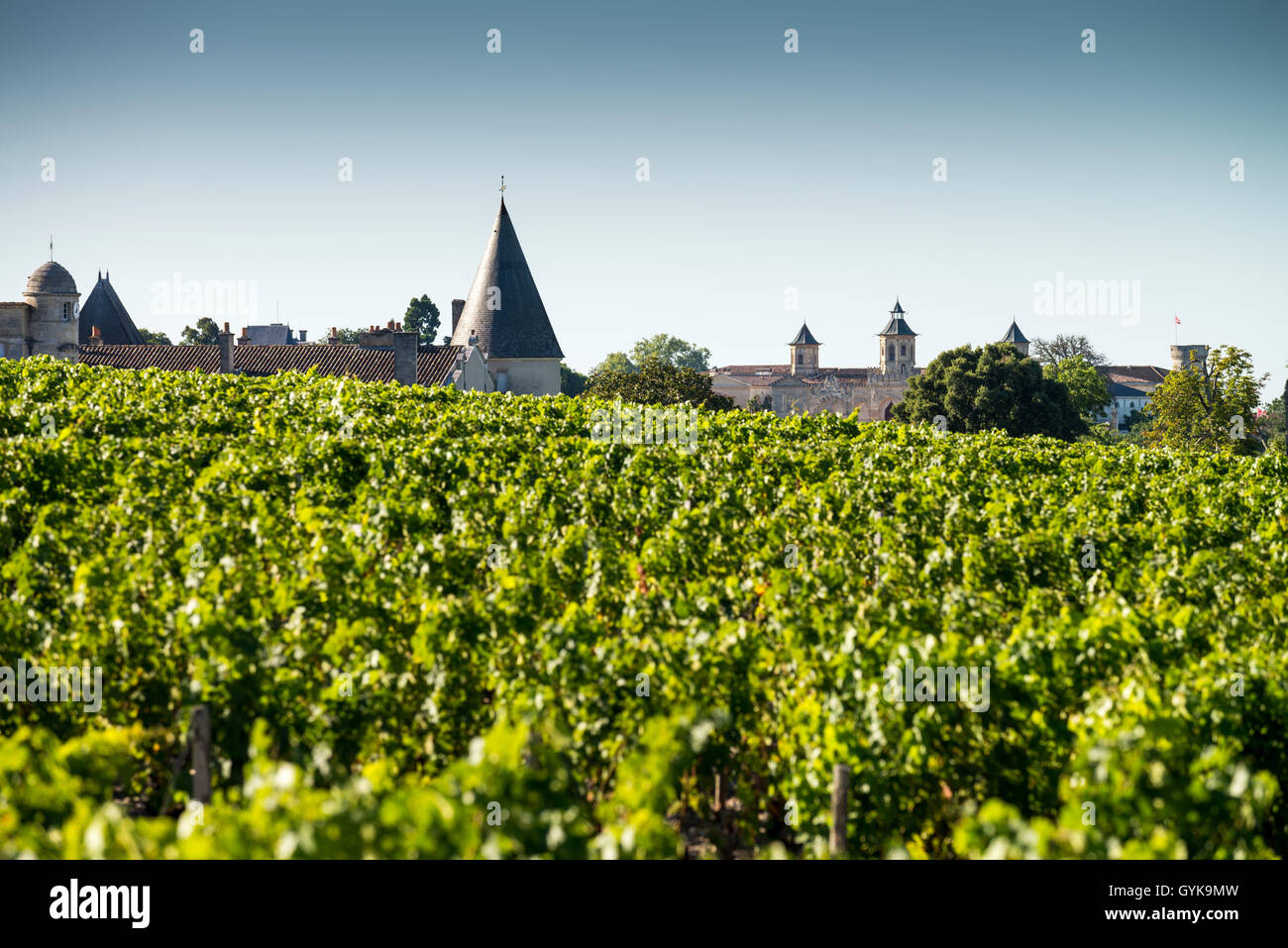 Chateau de rothschild vineyard hi-res stock photography and images - Alamy