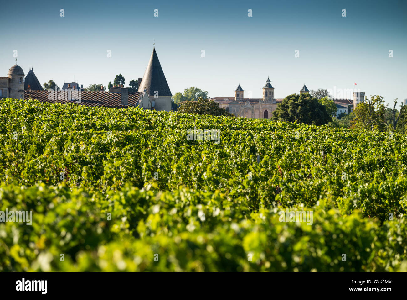 Chateau de rothschild vineyard hi-res stock photography and images - Alamy