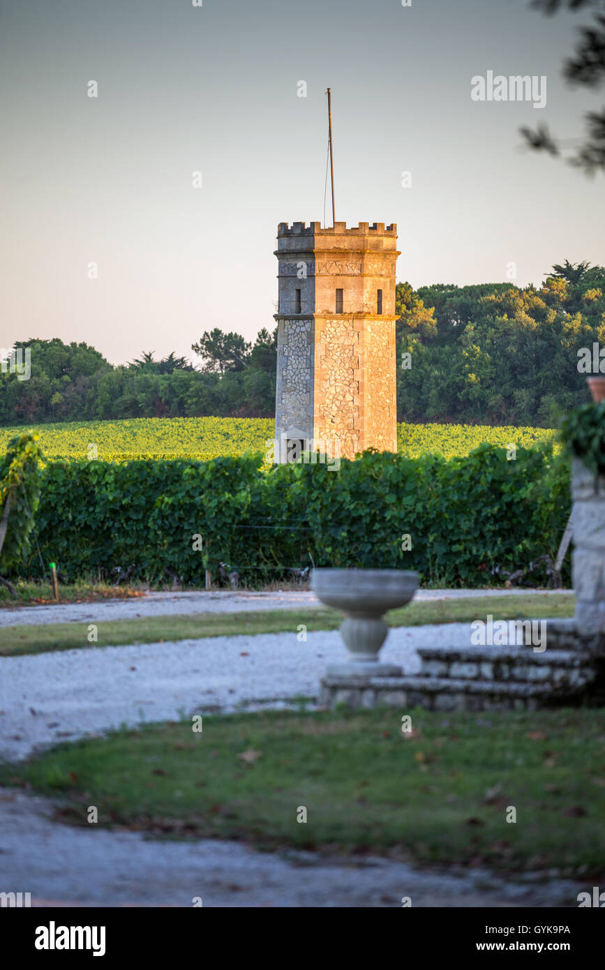 Bourdeaux france vineyard hi-res stock photography and images - Alamy