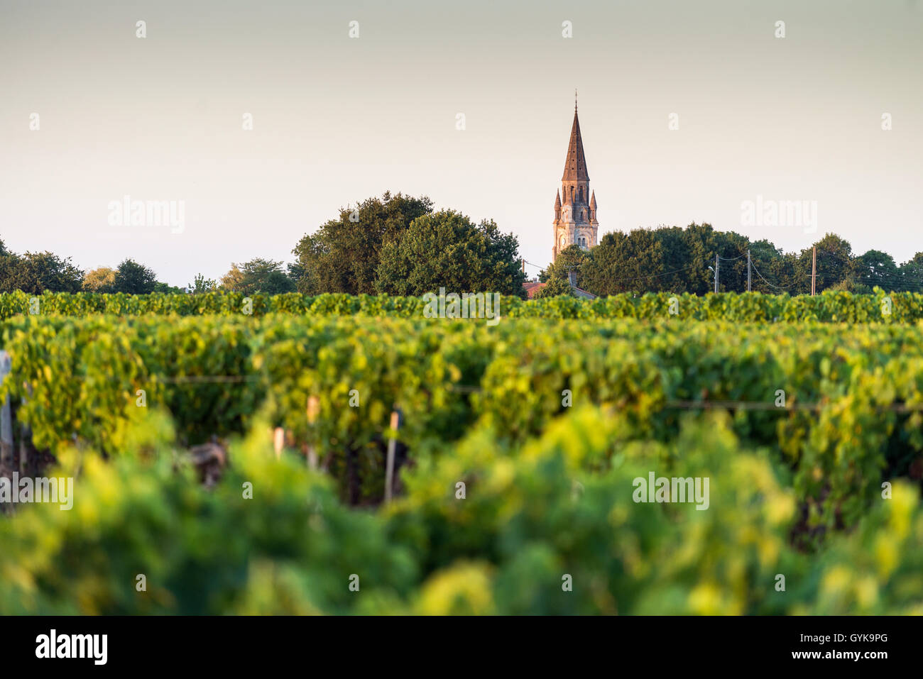 Bourdeaux france vineyard hi-res stock photography and images - Alamy