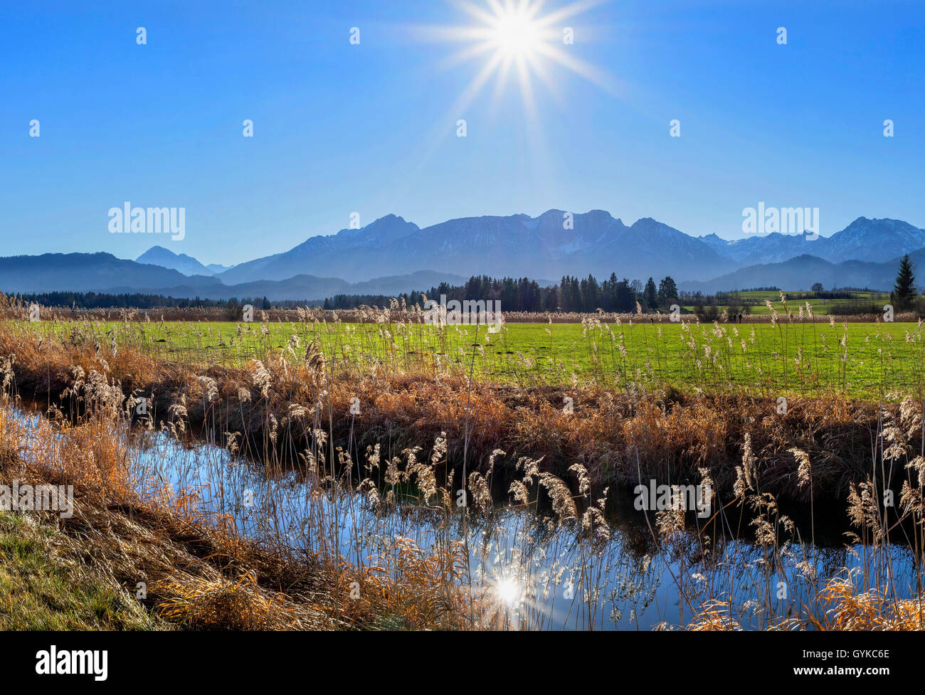 marsh meadows of lake Hopfensee and Tannheim Mountains, Germany ...