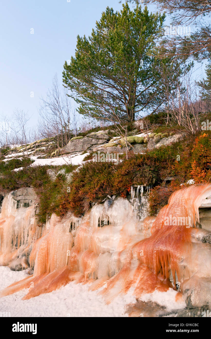 red icicles on the slope, Norway, Troms, Kvaloeya, Hella Stock Photo ...