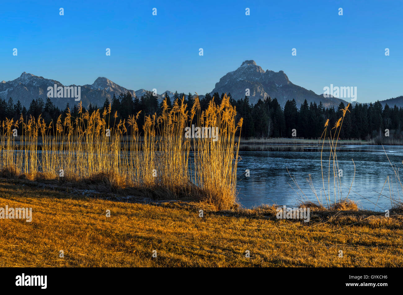 lake Hopfensee and Saeuling of Ammergau Alps in last sunlight, Germany ...