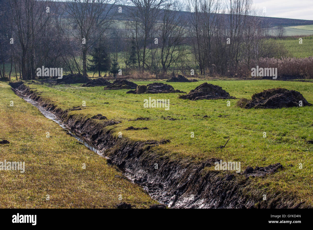 marsh meadow, drainage ditch digging, Germany, Bavaria, Isental Stock ...