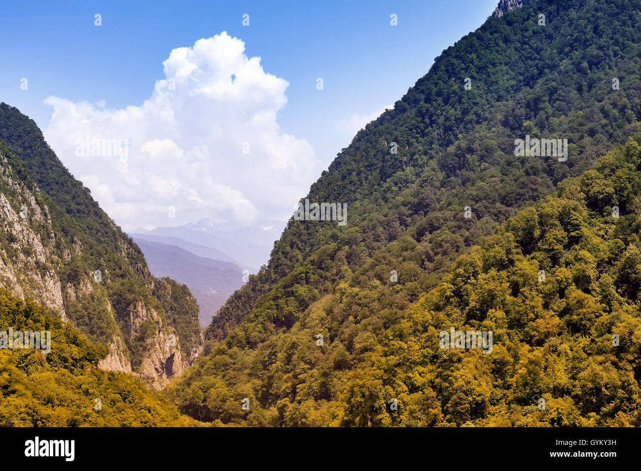 Mountain landscape: steep mountain slopes covered with forests, form a ...