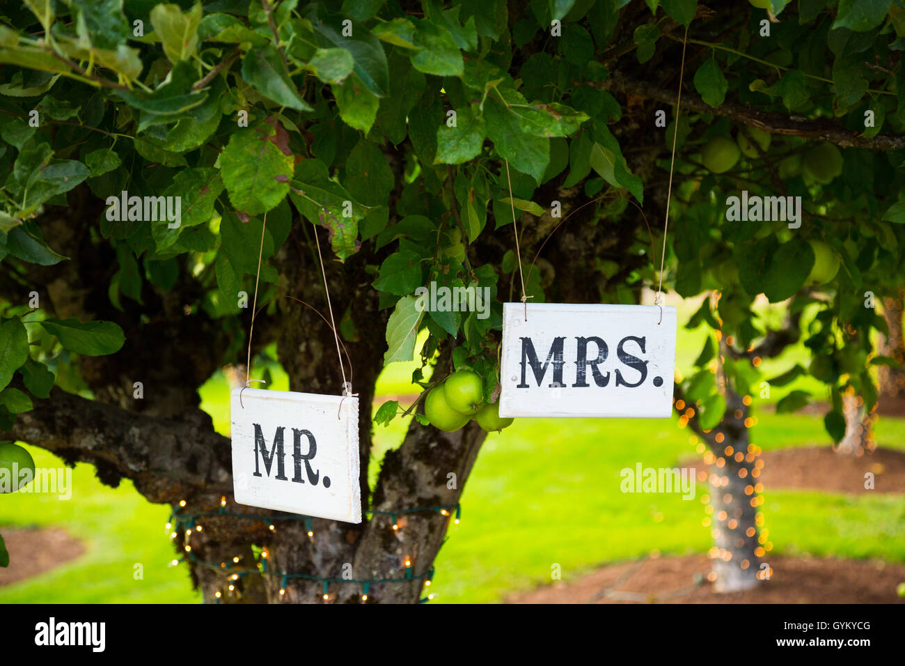 Mr and Mrs Signs at Wedding Stock Photo - Alamy