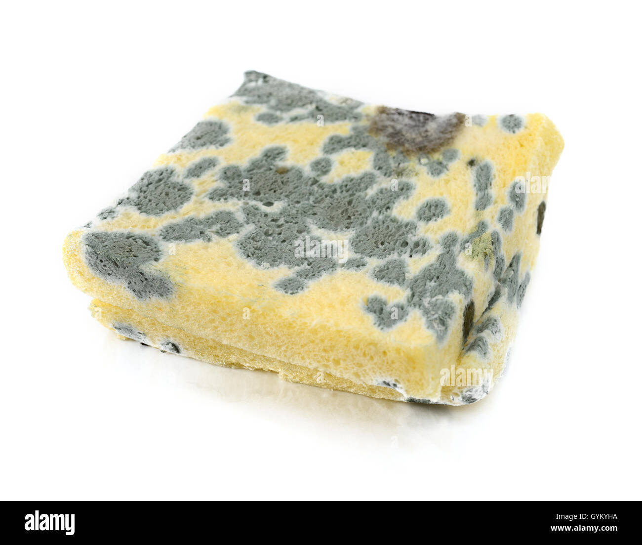 Bread mold fungus hi-res stock photography and images - Alamy