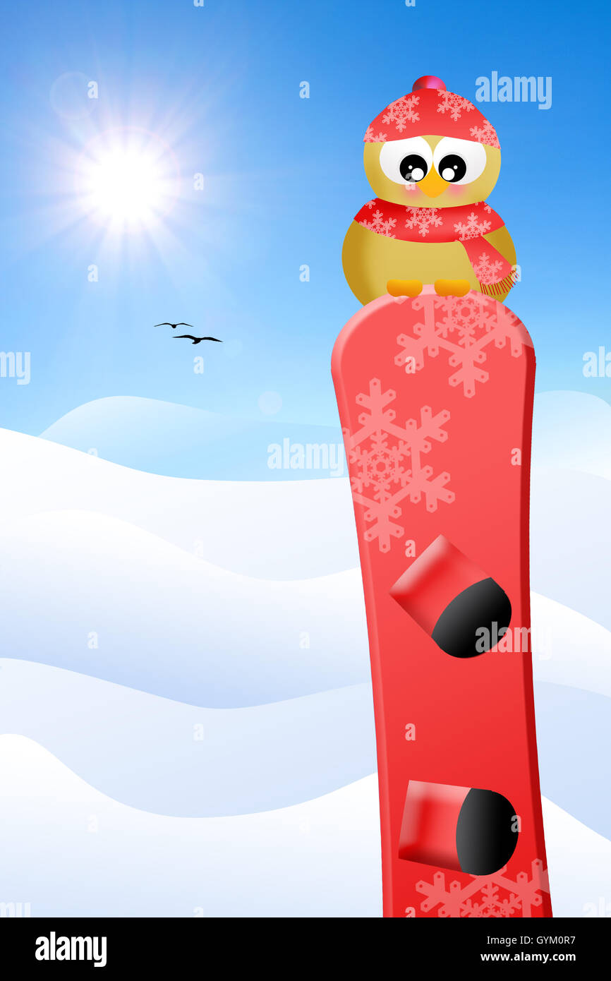 bird with snowboard Stock Photo - Alamy