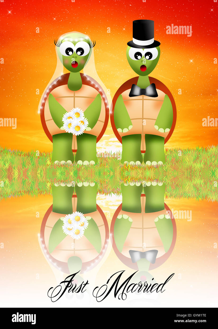 Turtles in love hi-res stock photography and images - Alamy