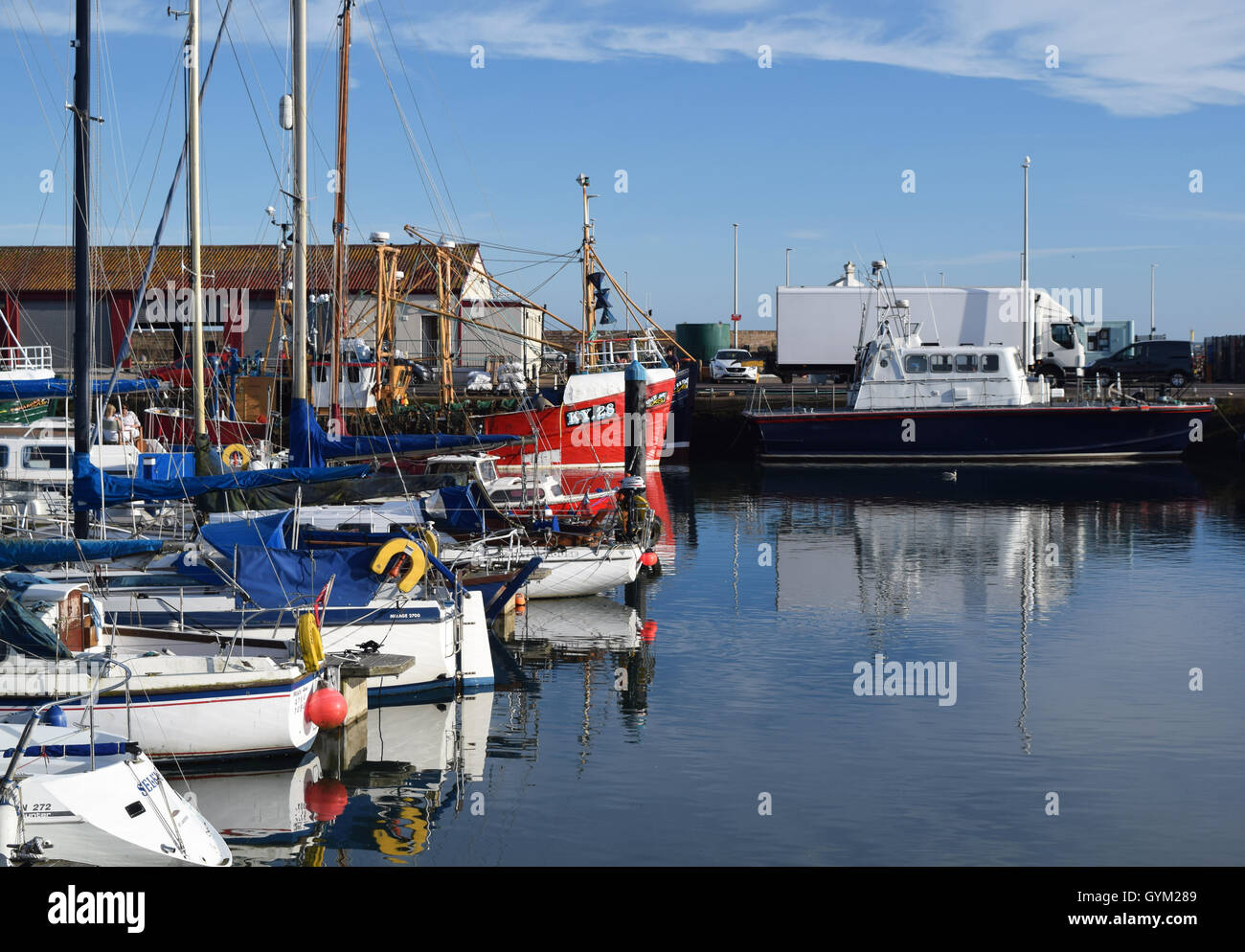 Arbroath smokie hi-res stock photography and images - Alamy