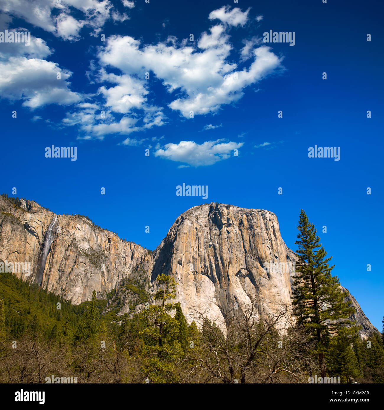 Yosemite National Park El Capitan California Stock Photo - Alamy