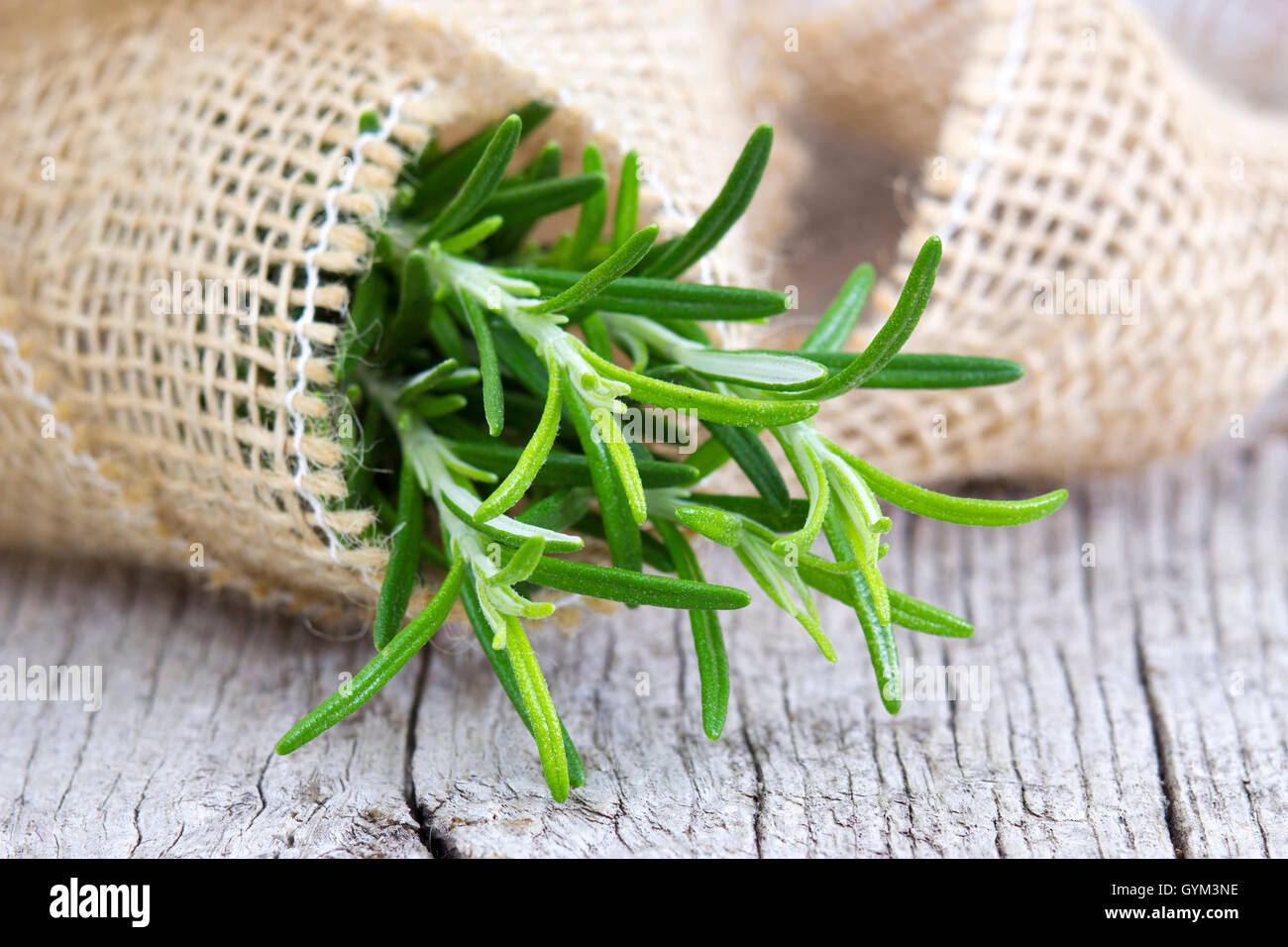 fresh rosemary (Rosmarinus officinalis Stock Photo - Alamy