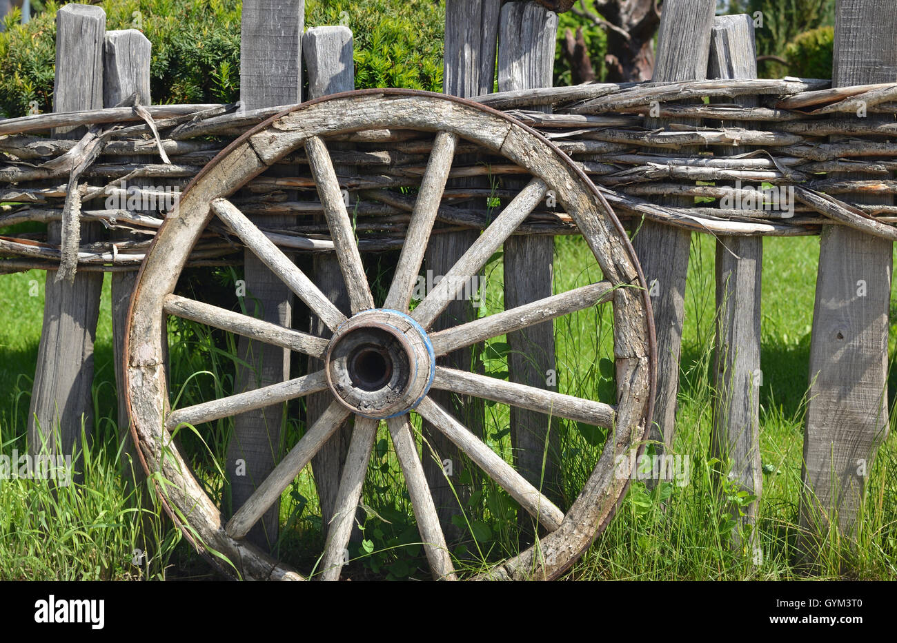 Closeup of an old wheel of a traditional cart leaning on a wooden fence ...