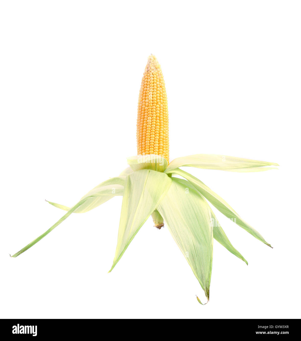 Four rocket Cut Out Stock Images & Pictures - Alamy