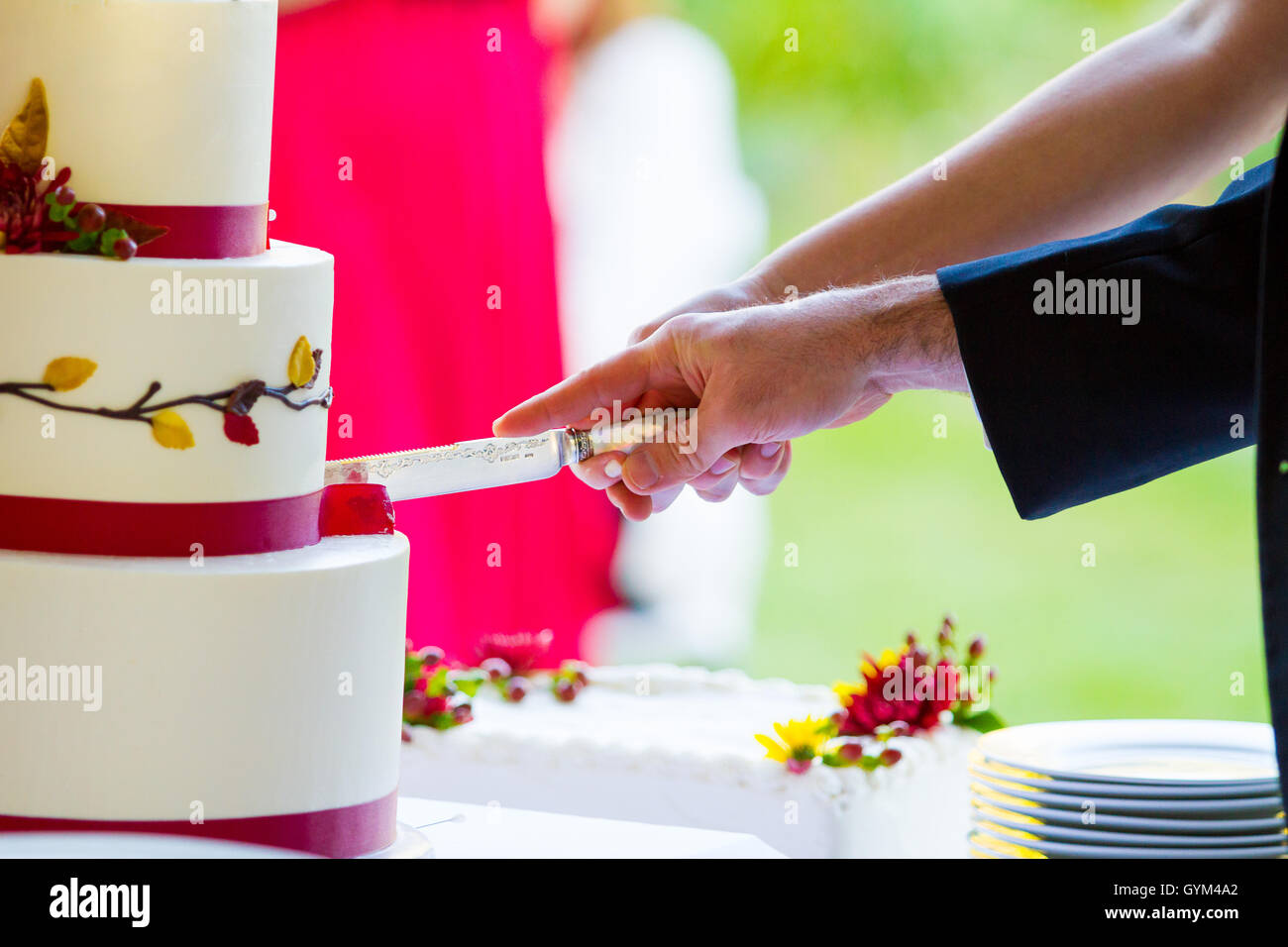Cutting The Cake At Reception Stock Photo - Alamy