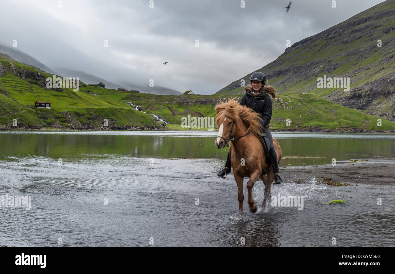 Horse riding rider gallop hi-res stock photography and images - Alamy