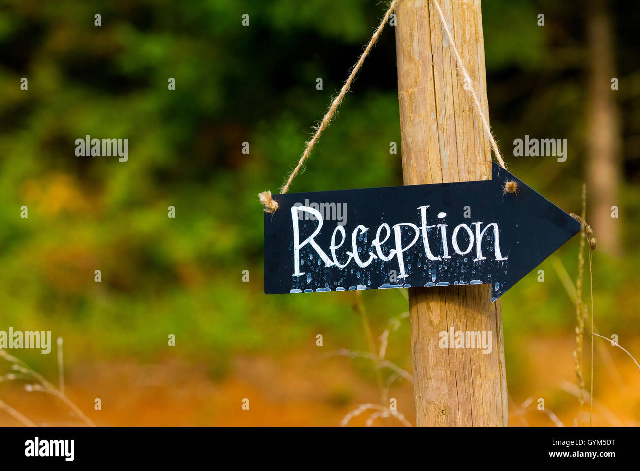 Reception Chalkboard Sign Stock Photo - Alamy