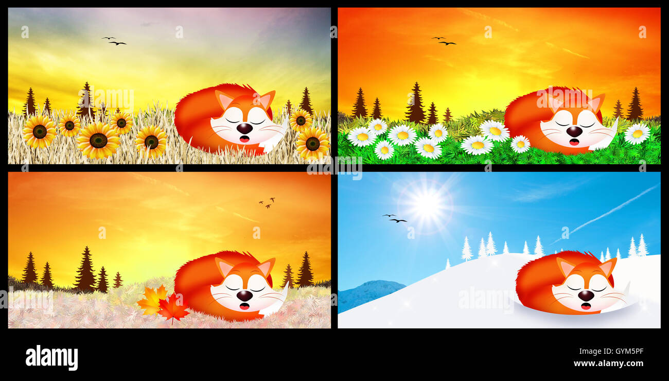 red fox collage Stock Photo - Alamy