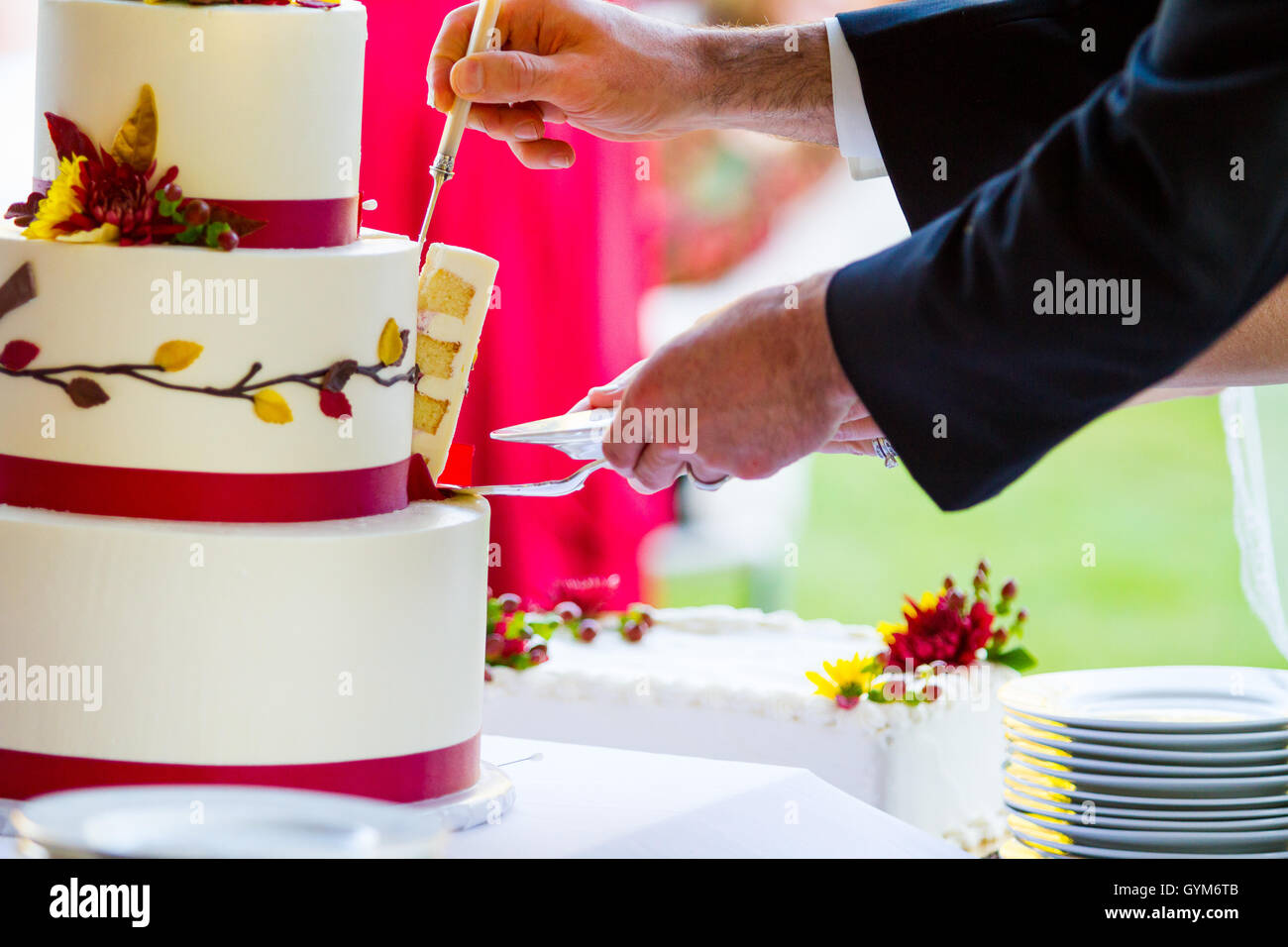 Cutting The Cake At Reception Stock Photo - Alamy