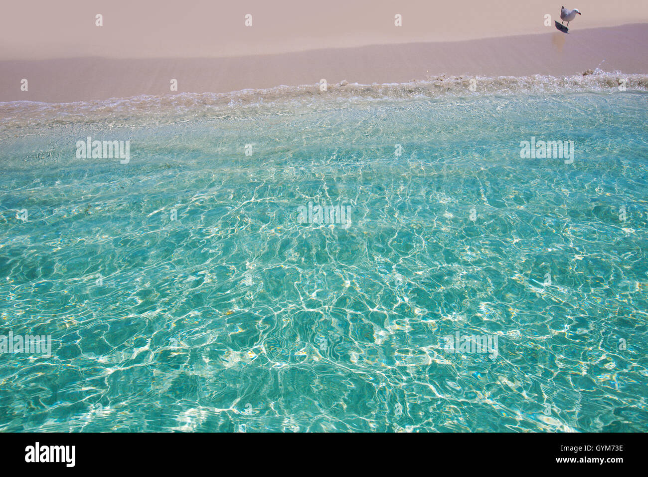 beautiful transparent shore beach Stock Photo - Alamy