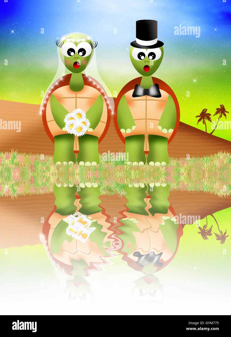 Turtles in love hi-res stock photography and images - Alamy